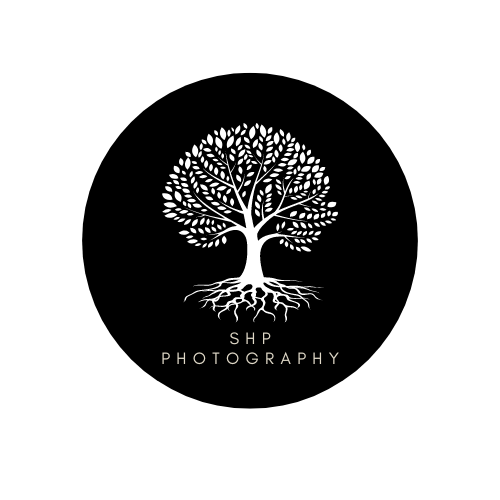 Volvsoft | Software Solution For Business Acceleration.